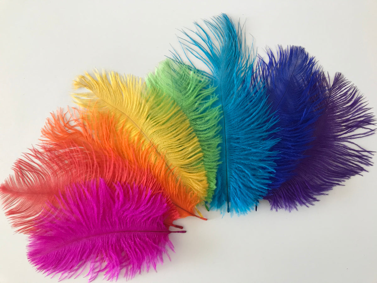 Large Sensory Feathers / Rainbow Feathers – Carla's Treasure